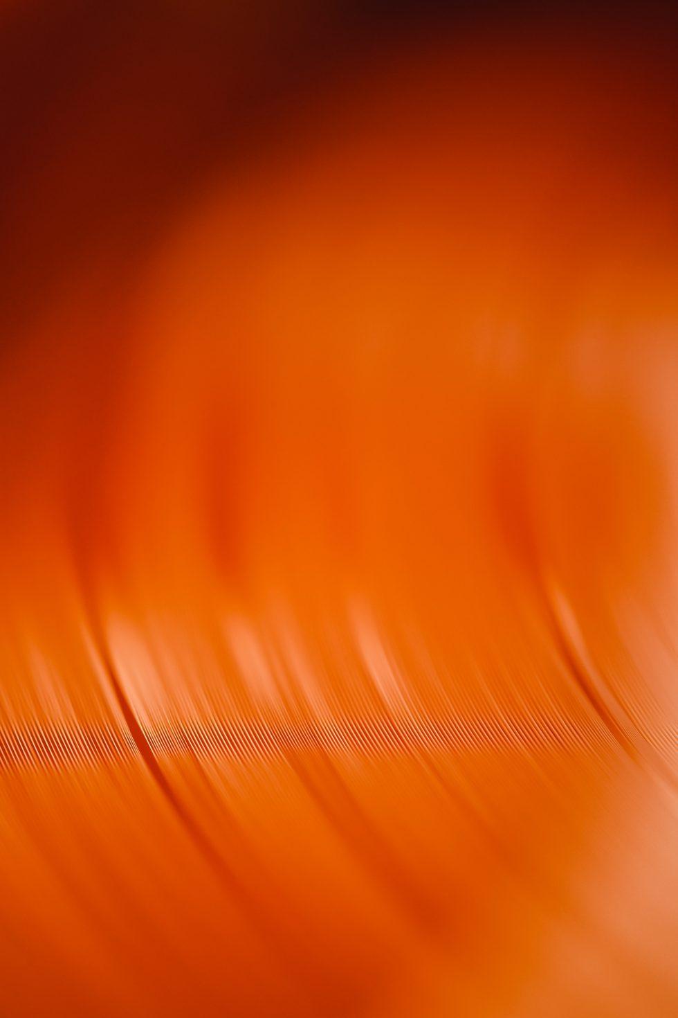 Choosing the Best Color for Custom Vinyl Record Pressing